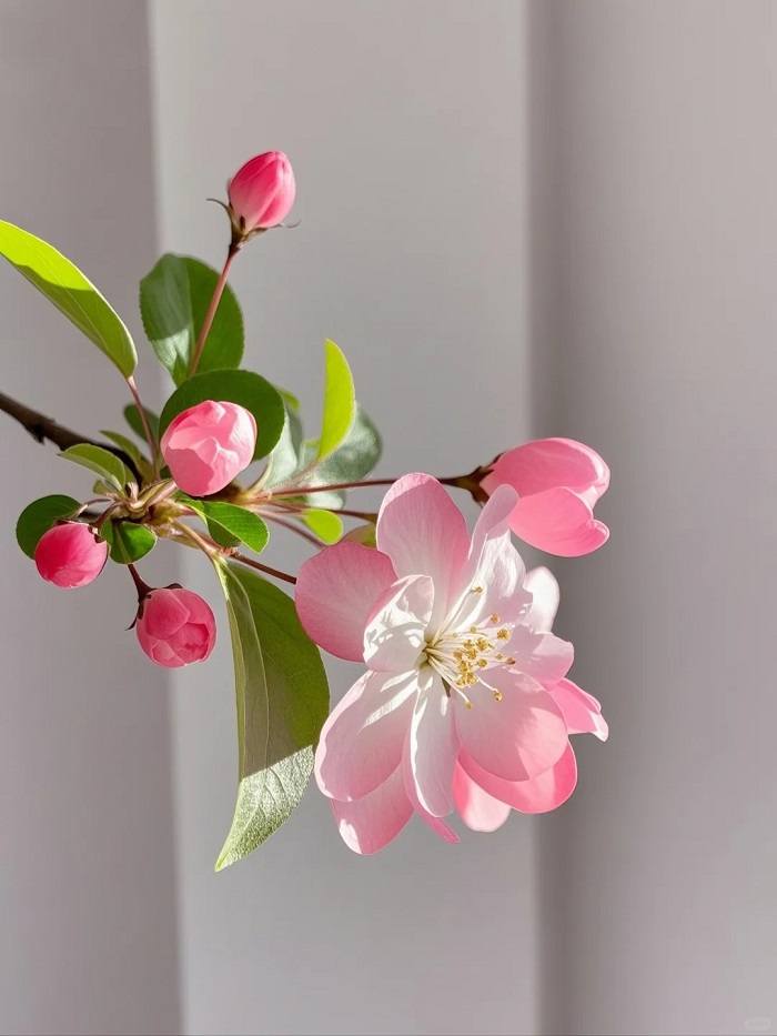 แนะนำ naflowers.com: ร้านดอกไม้ออนไลน์ที่อบอวลด้วยความรัก - สำรวจดอกไม้ ...