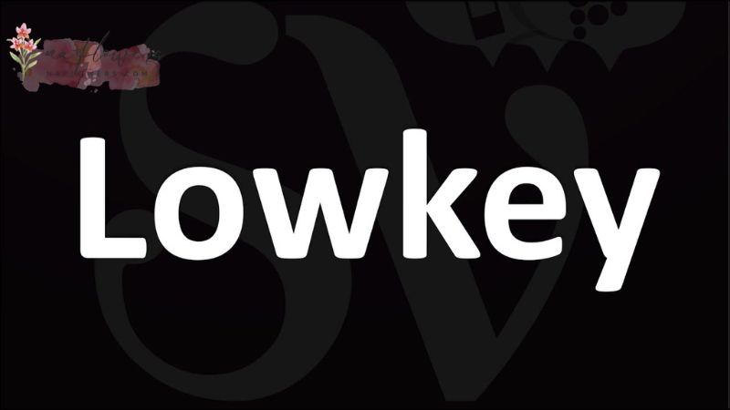 Lowkey คืออะไร? ทำความเข้าใจศัพท์อินเทอร์เน็ตสุดฮิตที่บ่งบอกความเป็นตัวคุณ