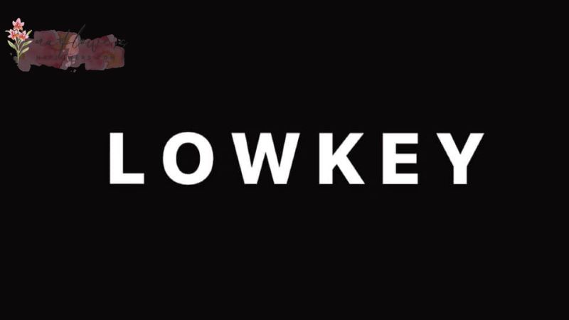 Lowkey คืออะไร? ทำความเข้าใจศัพท์อินเทอร์เน็ตสุดฮิตที่บ่งบอกความเป็นตัวคุณ